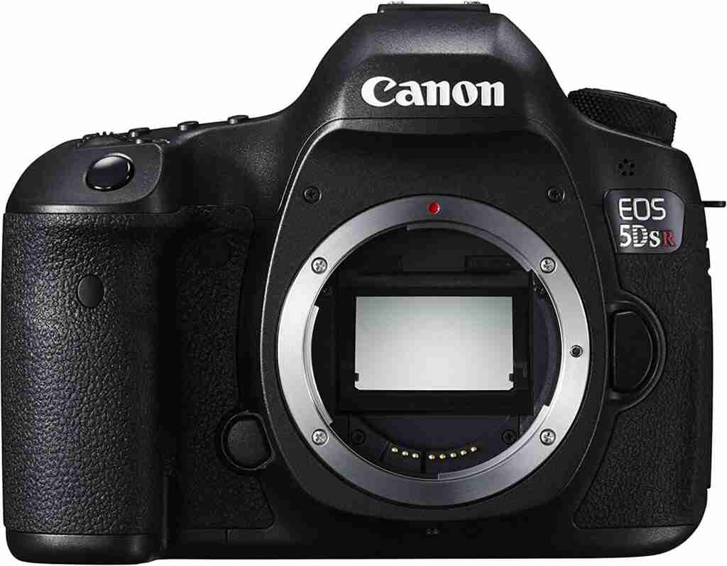 12 Best Canon Cameras For Professional Photography | Top Picks